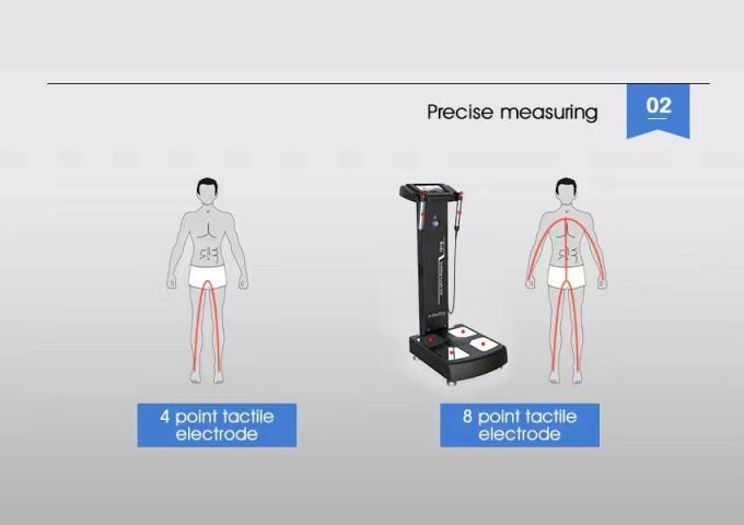 Bioelectrical Impedance Body Analyzer Machine / Bmi Calculator Machine