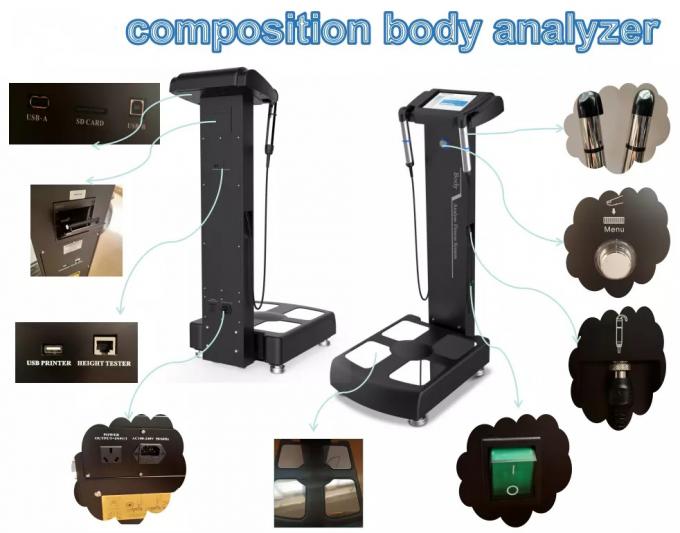 Vertical body scan analyzer BMI Body Mass Index Weighing Machine