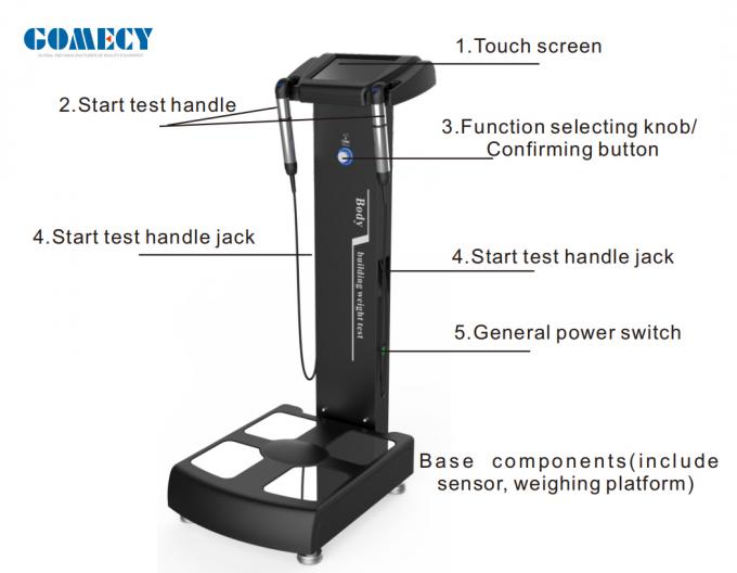 Vertical body scan analyzer BMI Body Mass Index Weighing Machine