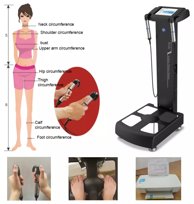 Vertical body scan analyzer BMI Body Mass Index Weighing Machine