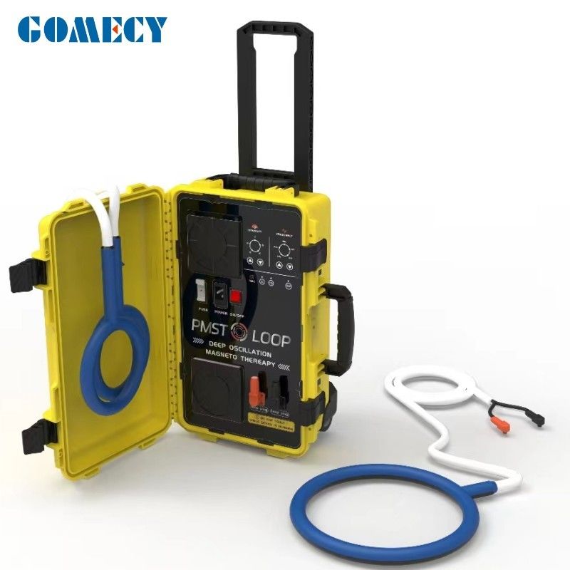 PEMF LOOP Easy Home Use Body Pain Relief Shoulders Pain Remova Magnetic ...