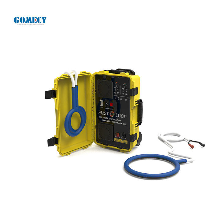 GOMECY PMST LOOP Pulsed Electromagnetic Field PEMF Therapy Fused 15Amp ...