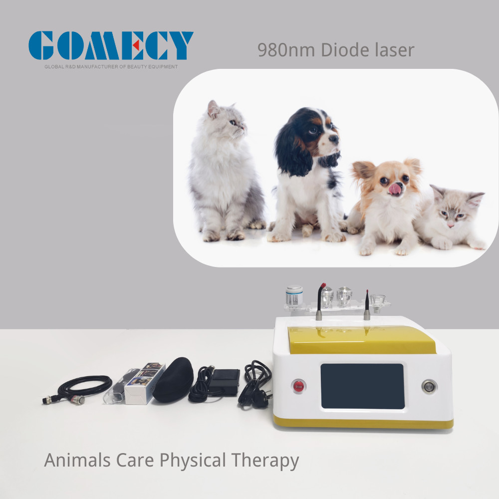 980nm Diode Laser Device for Animal Care and Veterinary Physical ...
